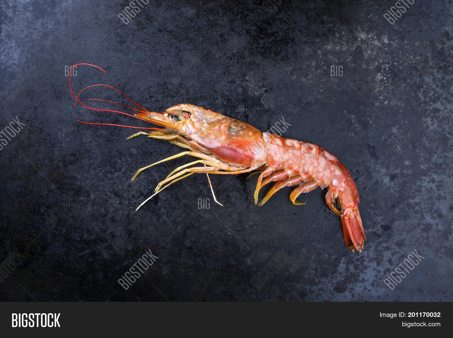 Raw Black Tiger Prawn Image & Photo (Free Trial) | Bigstock
