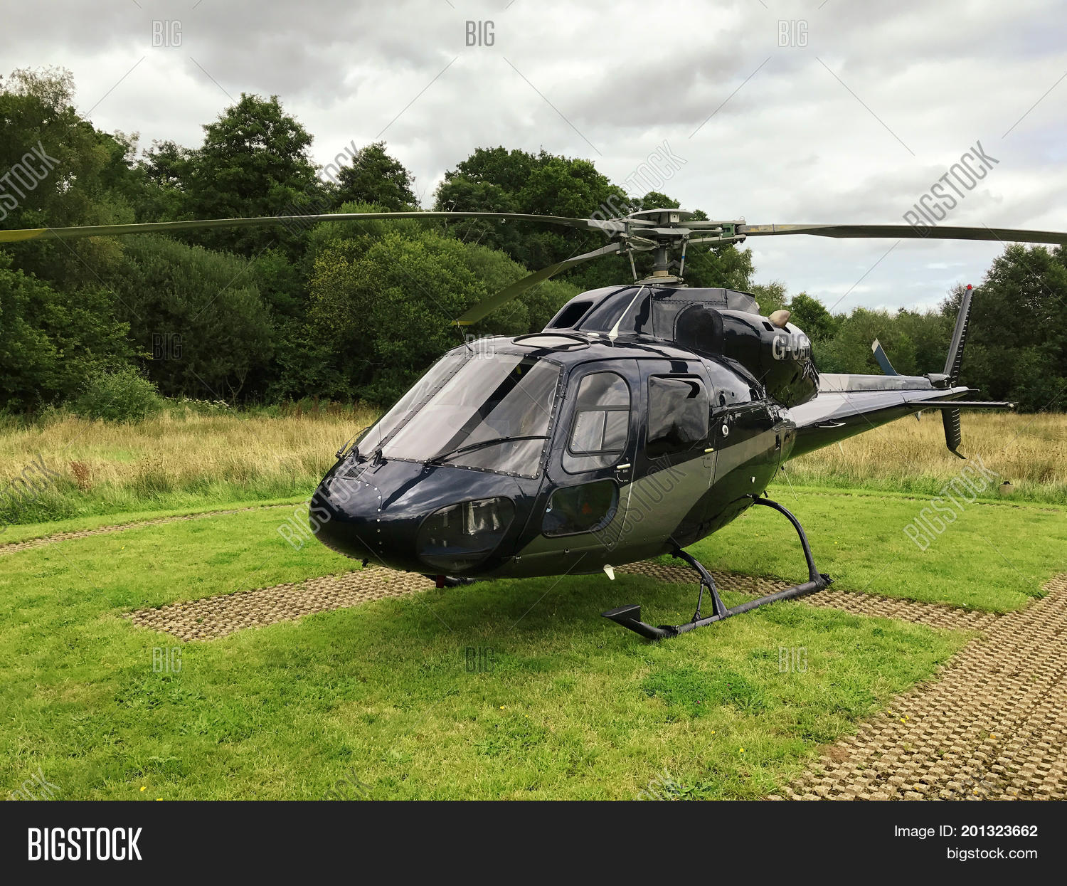 Imagen y foto Front Side View (prueba gratis) | Bigstock