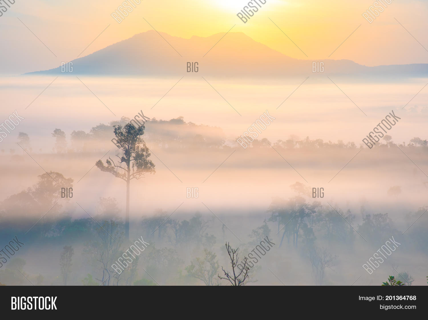 Dramatic Fog, Sunrise Image & Photo (Free Trial) | Bigstock