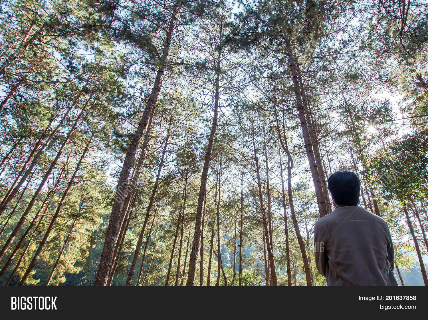 Single Alone Man Image & Photo (Free Trial) | Bigstock