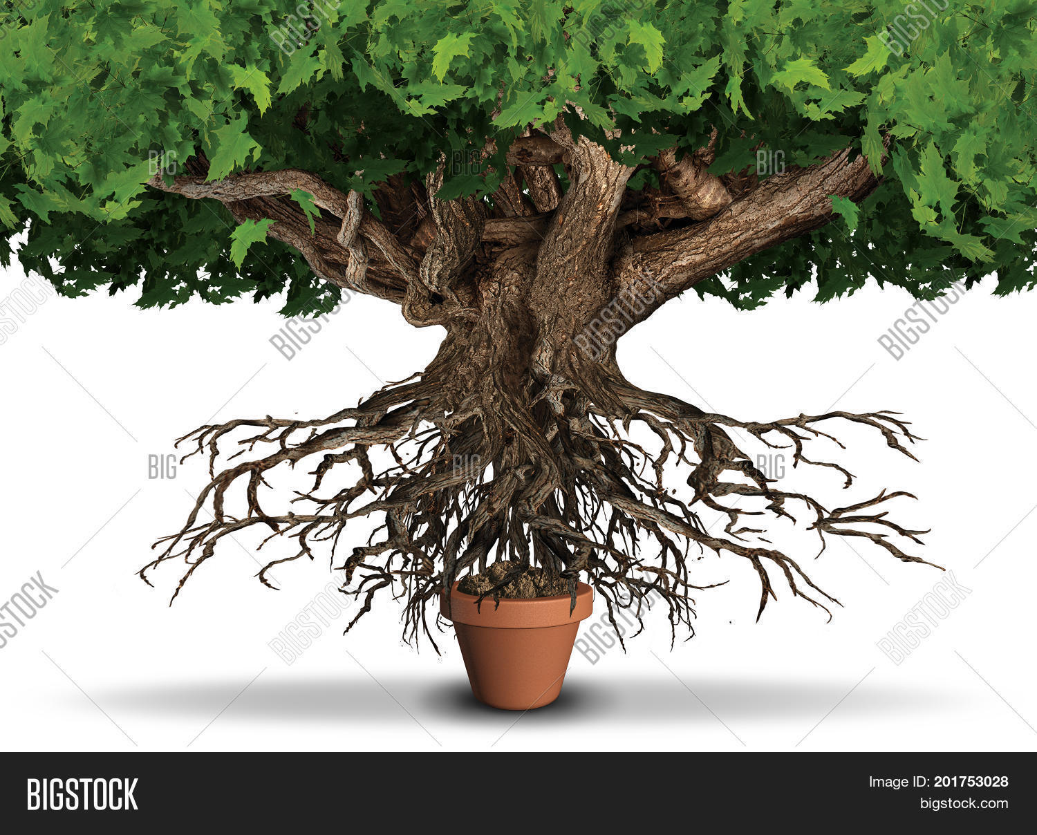 Limited Resources Image & Photo (Free Trial) | Bigstock