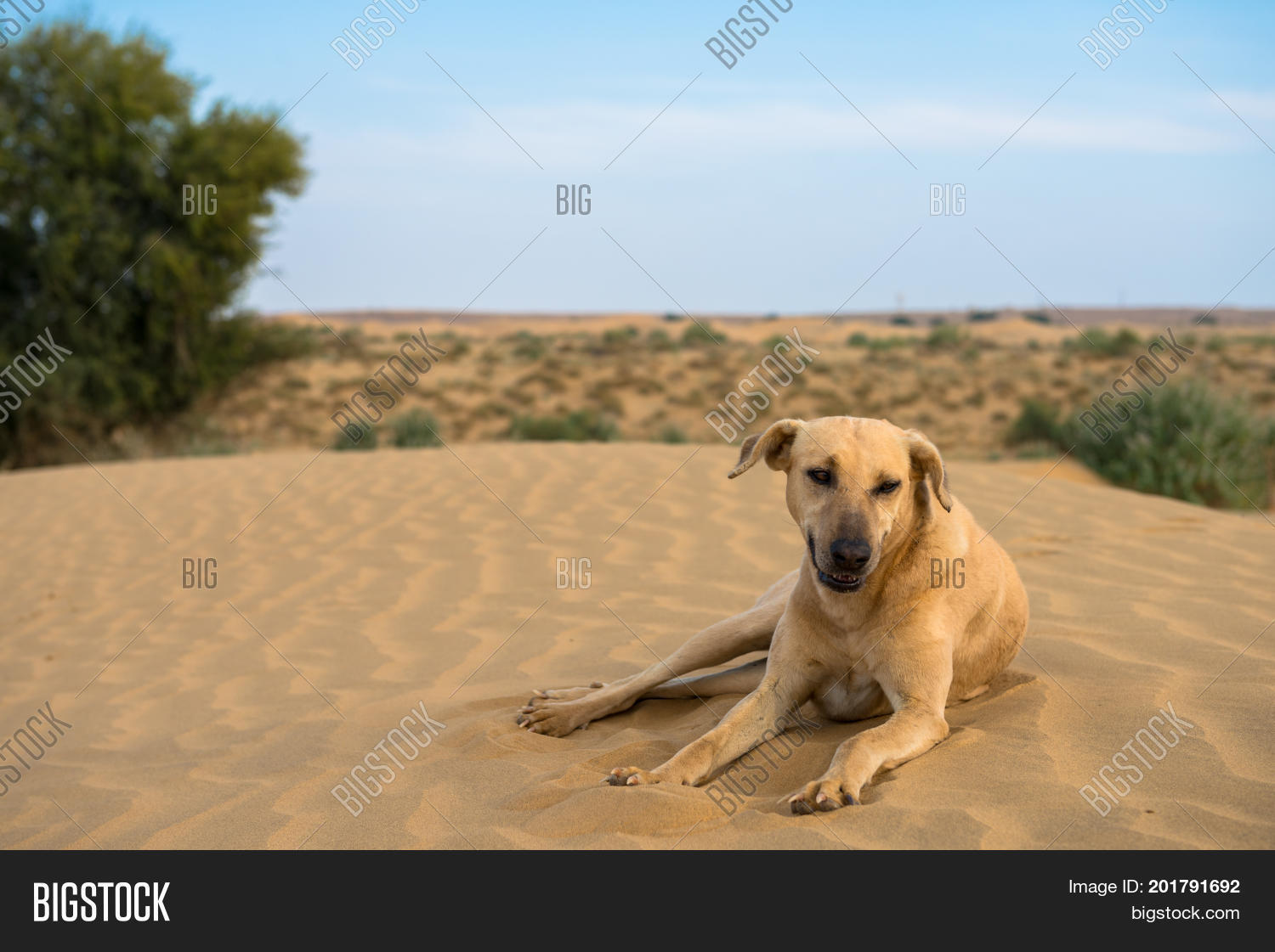 Horizontal Picture Image & Photo (Free Trial) | Bigstock