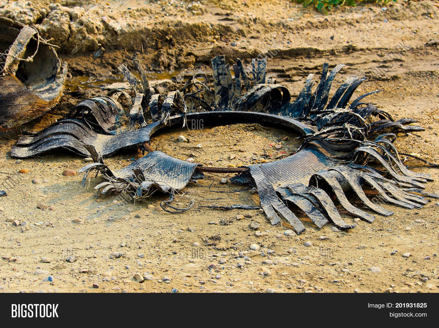 Remains Shredded Tire Image & Photo (Free Trial) | Bigstock