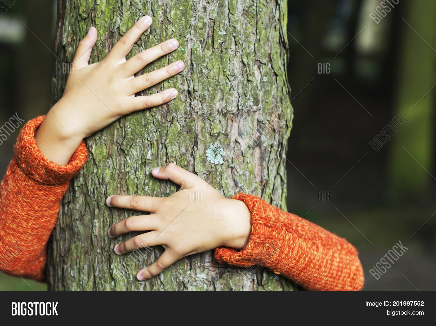 Man Hugging Big Tree Image & Photo (Free Trial) | Bigstock
