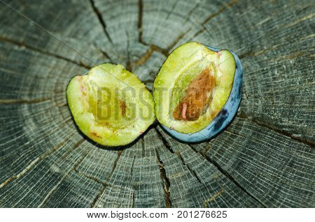 Fresh Plum Worm Inside Image & Photo (Free Trial) | Bigstock