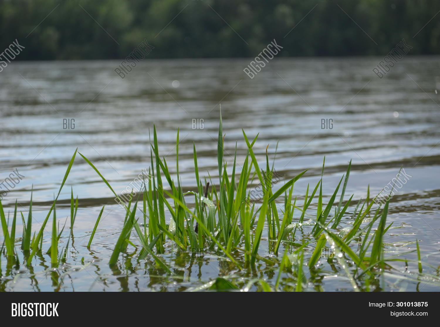 River After Rain. Image & Photo (Free Trial) | Bigstock