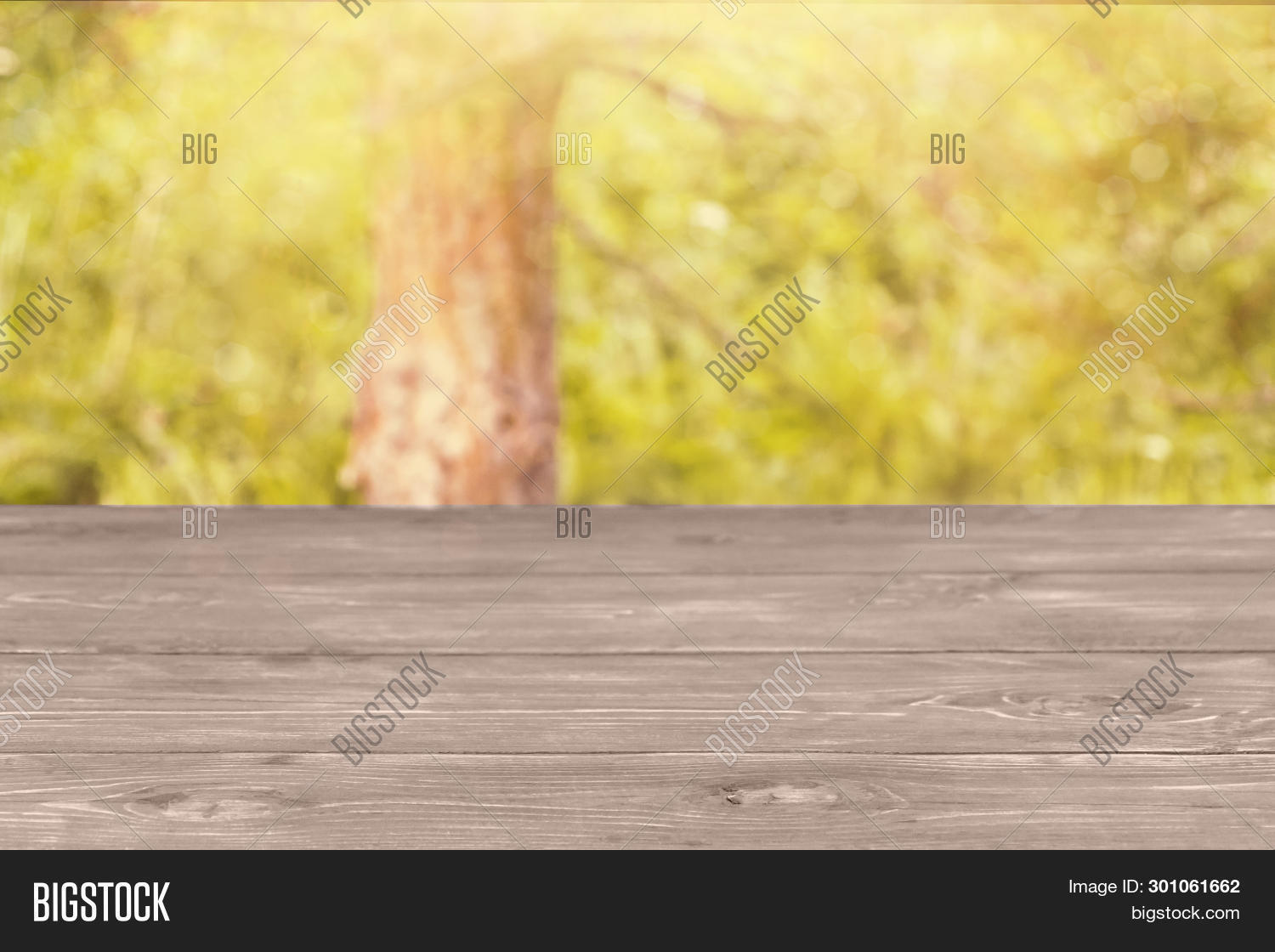 Surface Wooden Table Image & Photo (Free Trial) | Bigstock