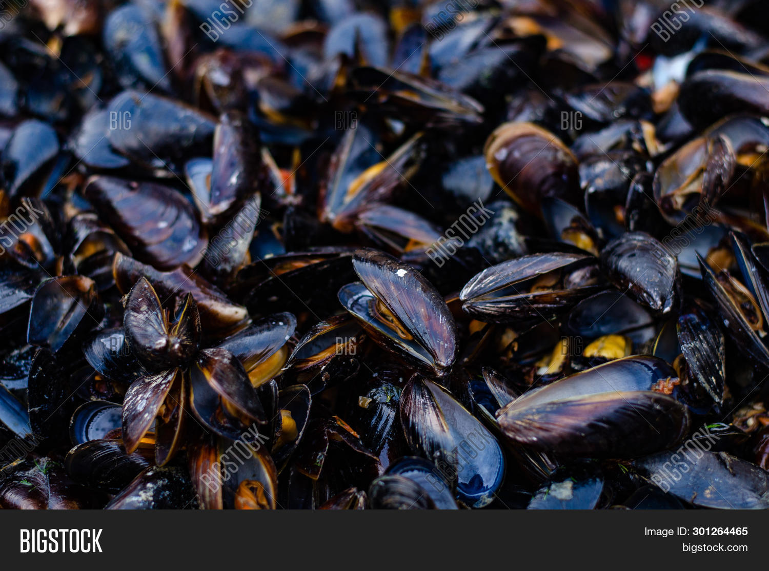 Fresh Mussels Grill Image & Photo (Free Trial) | Bigstock
