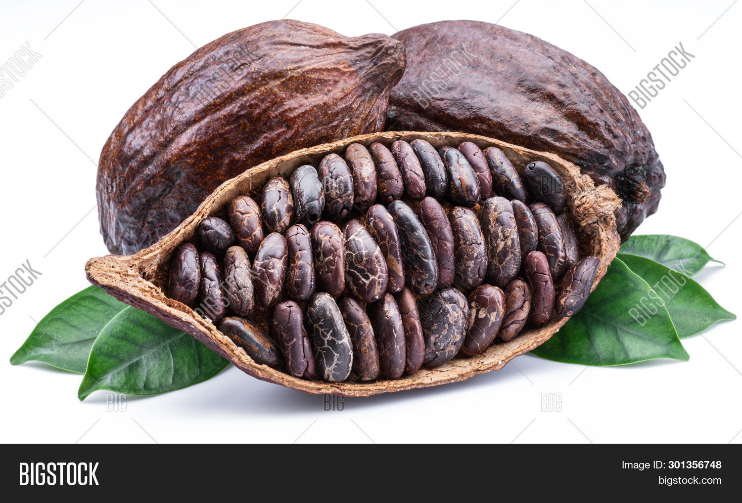 Cocoa Pods Cocoa Beans Image & Photo (Free Trial) | Bigstock