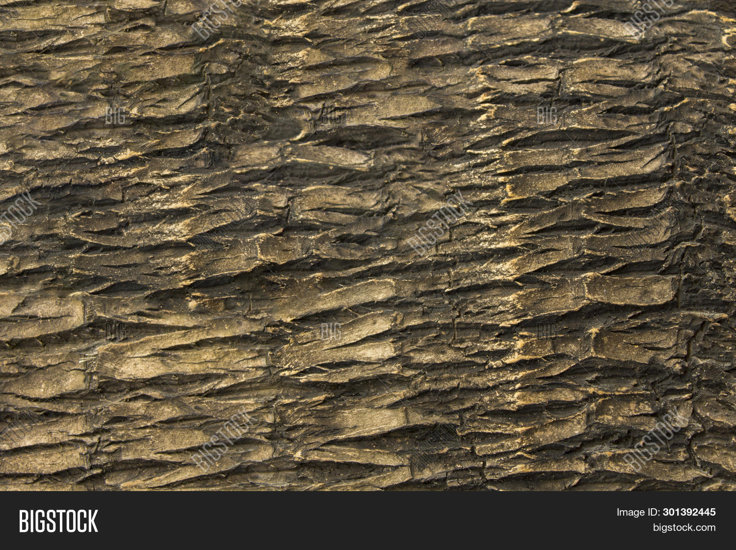 Gray Dry Palm Tree Image & Photo (Free Trial) | Bigstock