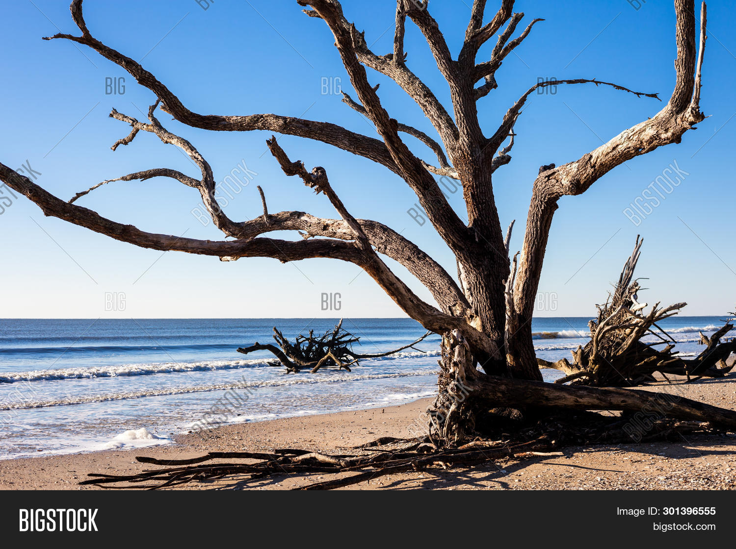 Botany Bay Beach, Image & Photo (Free Trial) | Bigstock