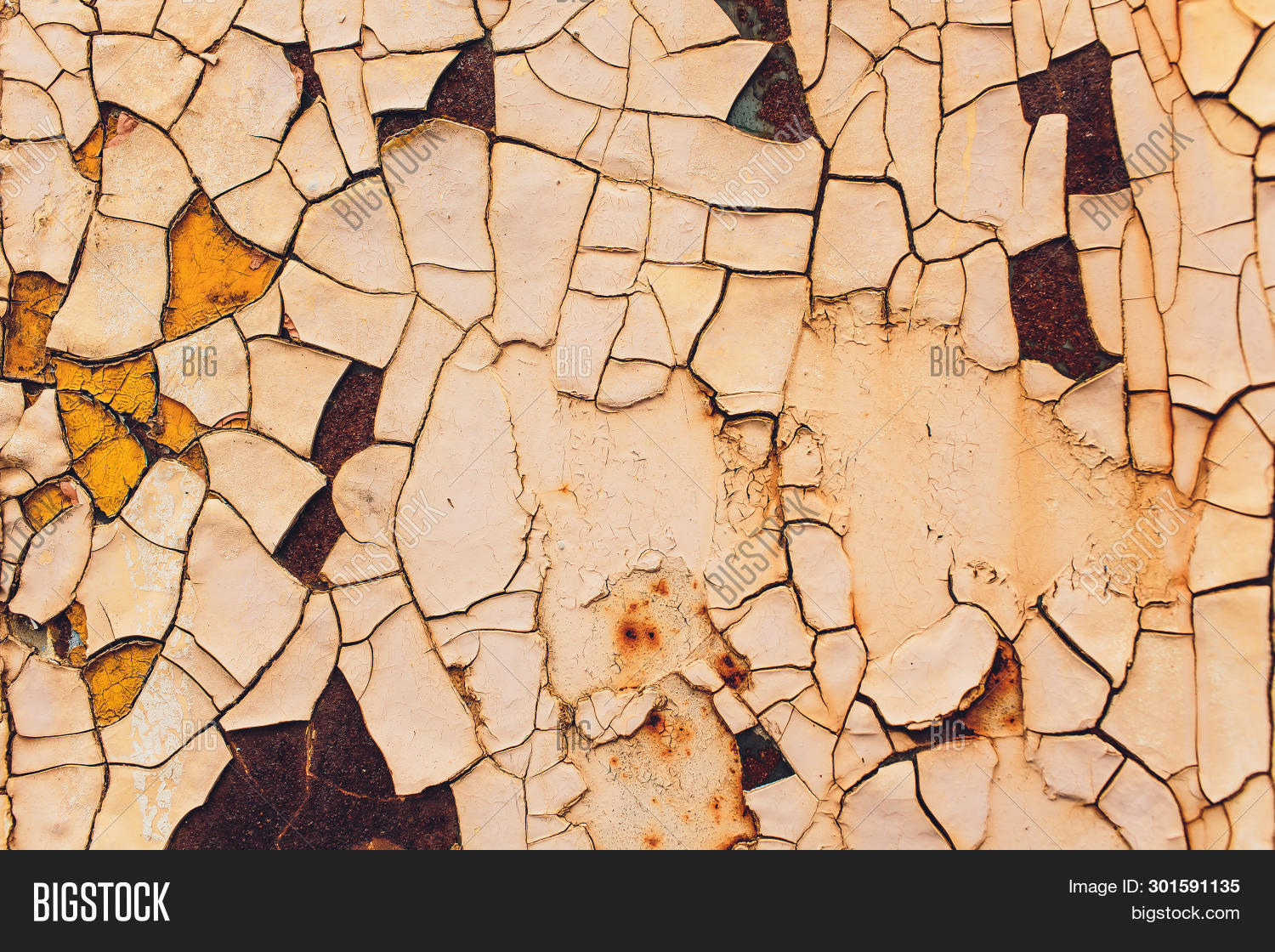 Rusted White Painted Image & Photo (Free Trial) | Bigstock