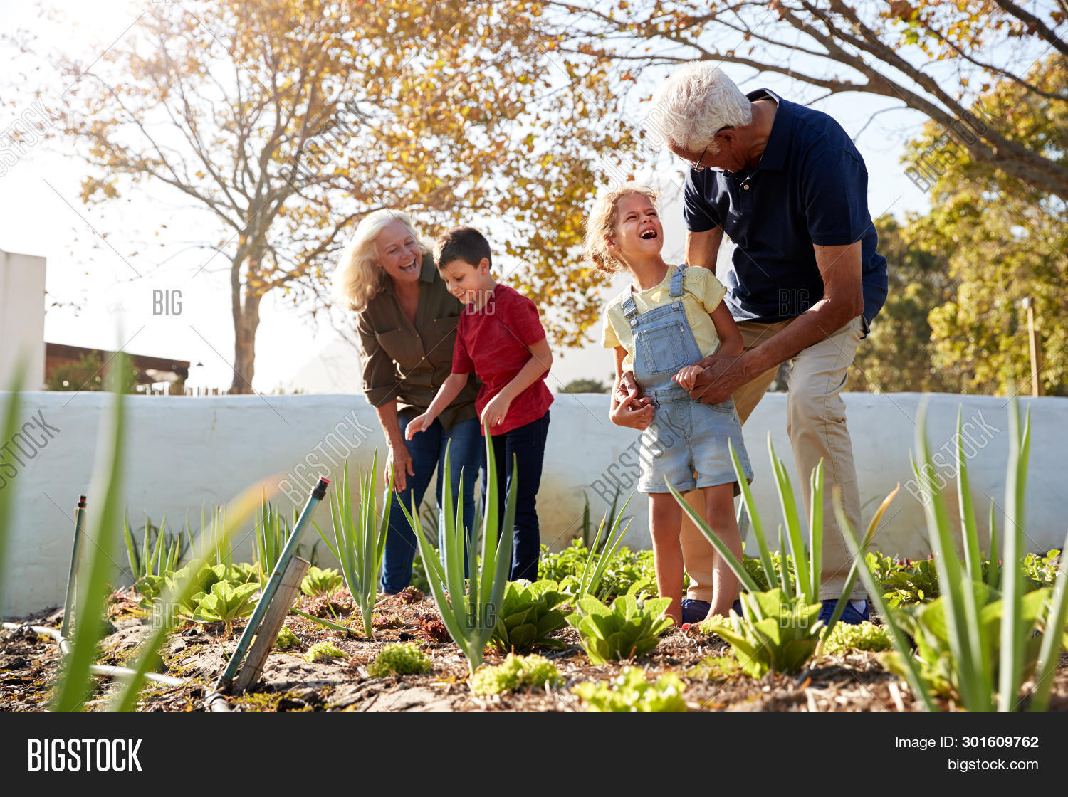 Grandchildren Helping Image & Photo (Free Trial) | Bigstock