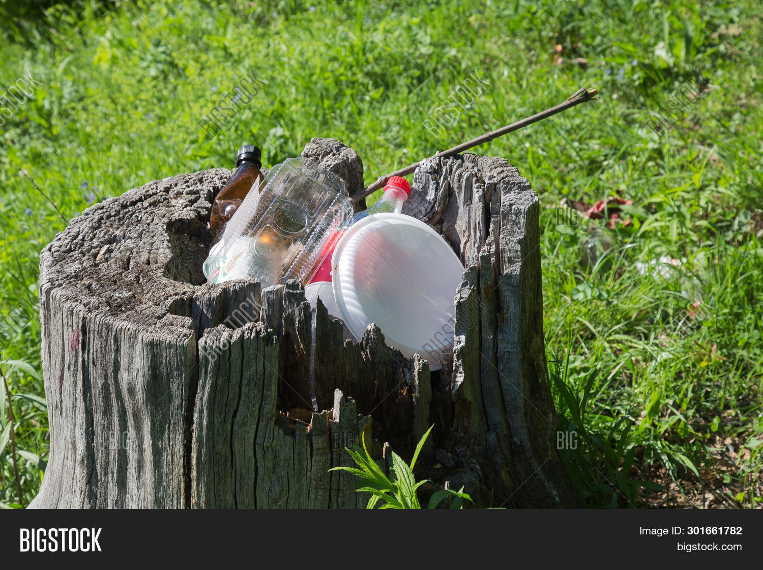 People Littering Image & Photo (Free Trial) | Bigstock