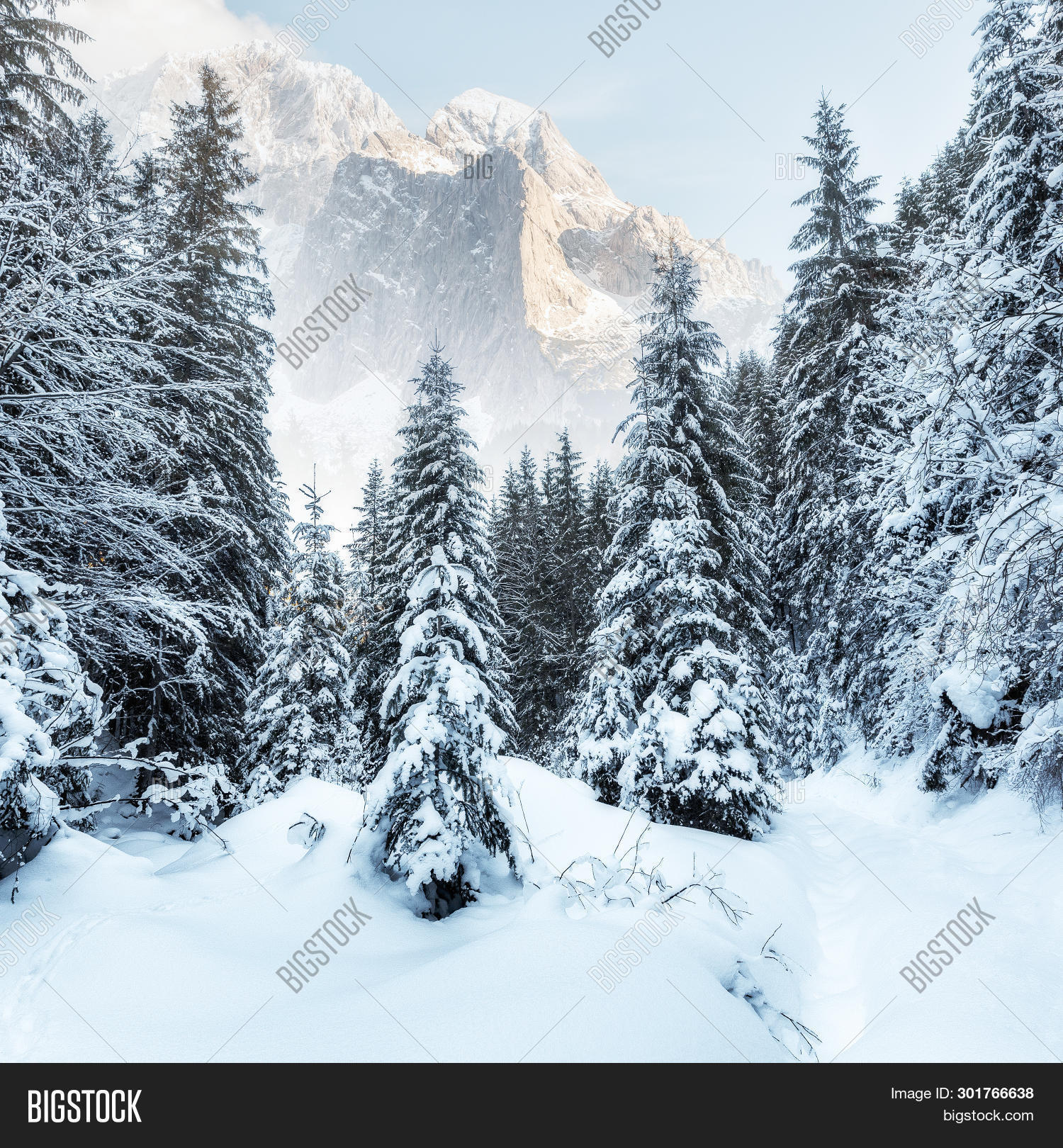 Wonderful Wintry Image & Photo (Free Trial) | Bigstock