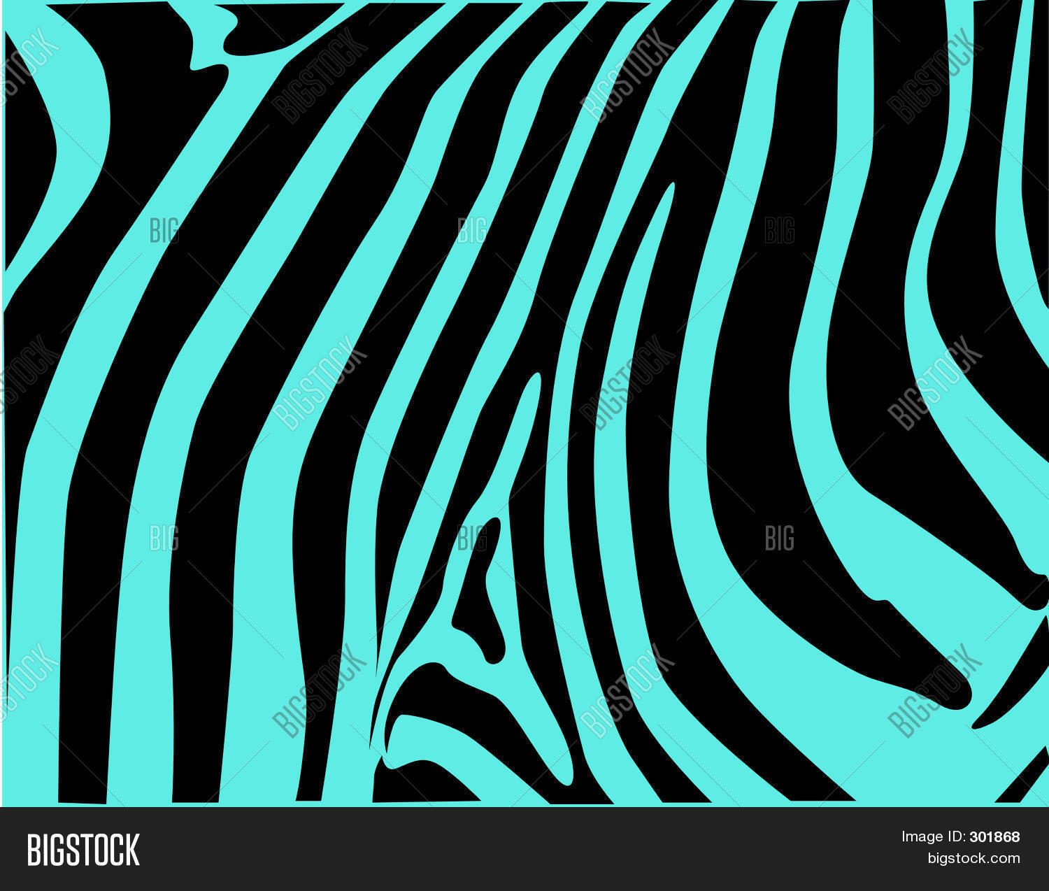 Zebra Stripes Image & Photo (Free Trial) | Bigstock