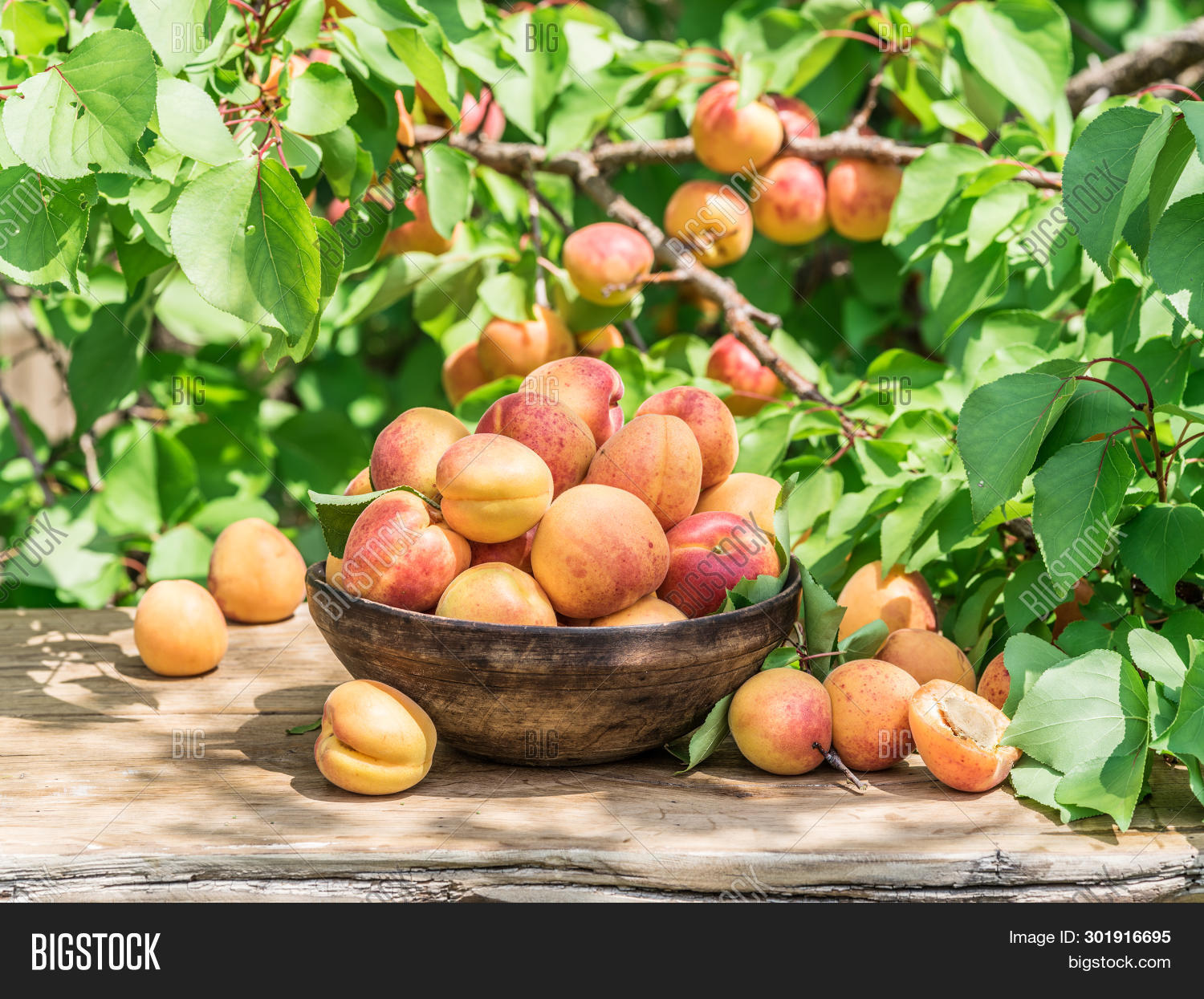 Ripe Apricots Wooden Image & Photo (Free Trial) | Bigstock