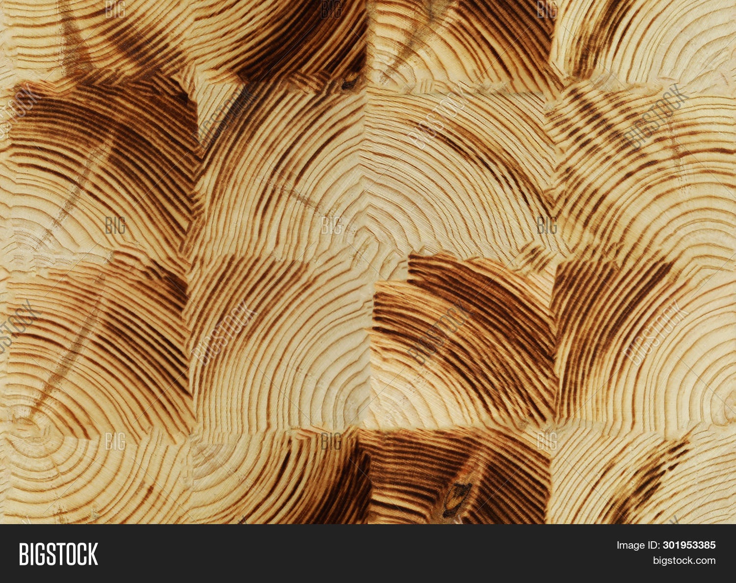 Texture Cross-section Image & Photo (Free Trial) | Bigstock