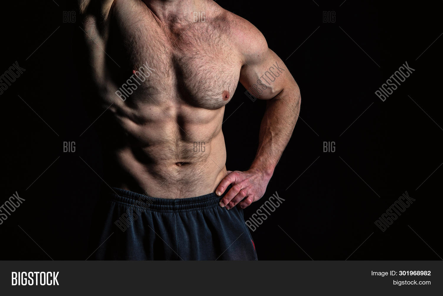 Torso Six Pack Ab Image & Photo (Free Trial) | Bigstock