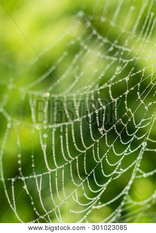 Drop Condensation On Image & Photo (Free Trial) | Bigstock