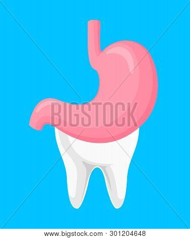 Human Stomach Tooth Vector & Photo (Free Trial) | Bigstock