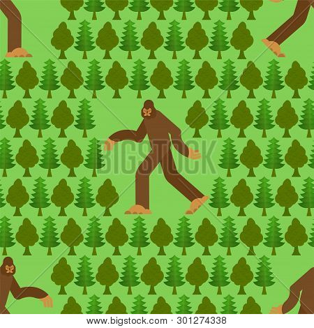 Bigfoot Forest Vector & Photo (Free Trial) | Bigstock