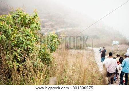 Nohkalikai Wakaba Image & Photo (Free Trial) | Bigstock