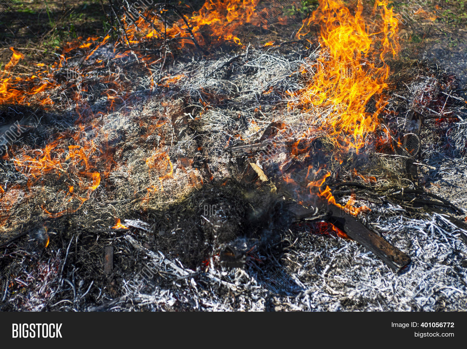 Wildfire. Disaster Image & Photo (Free Trial) | Bigstock