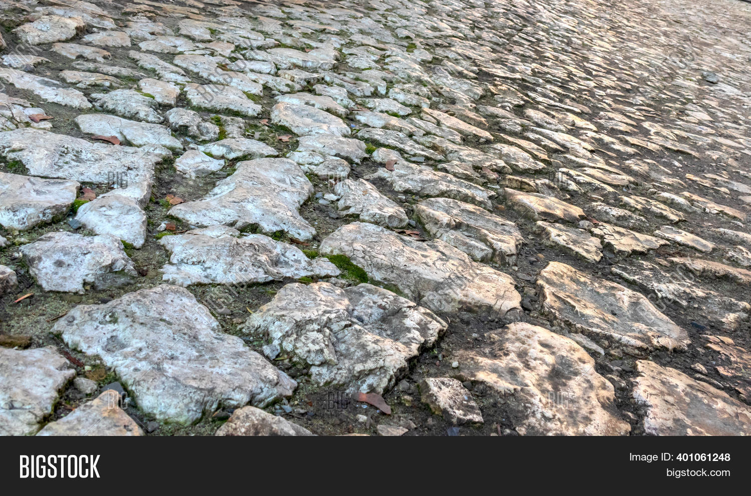 Background, Fragment Image & Photo (Free Trial) | Bigstock