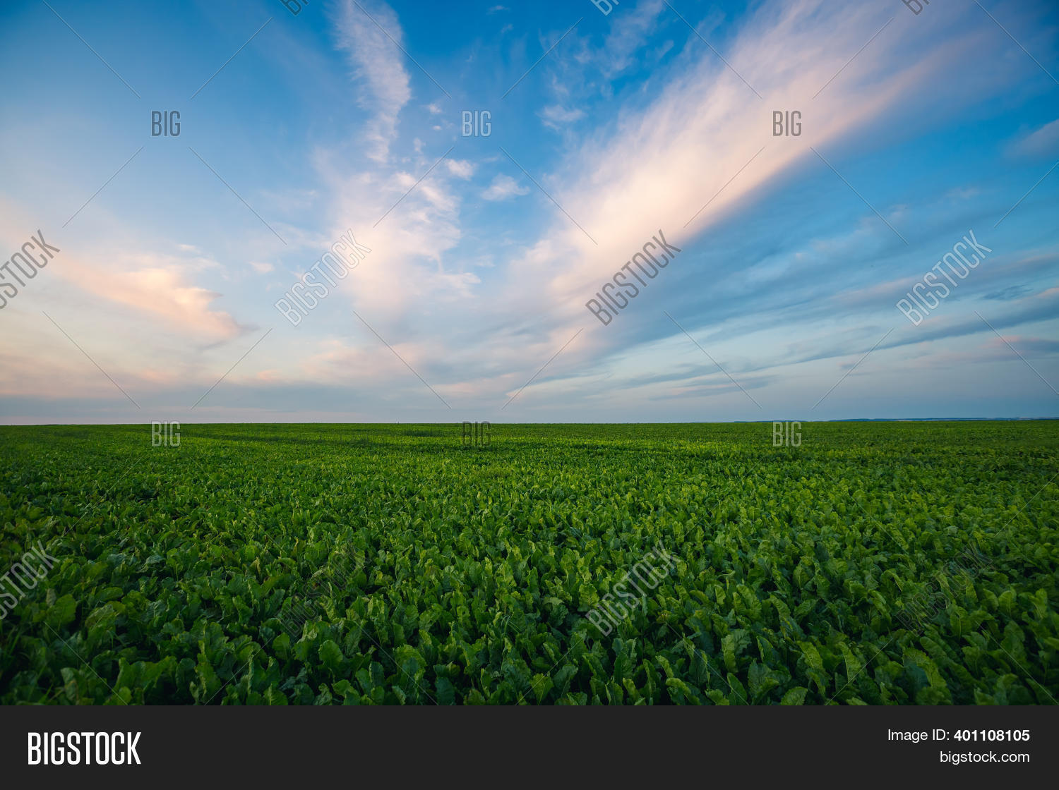 Scenic View Green Image & Photo (Free Trial) | Bigstock
