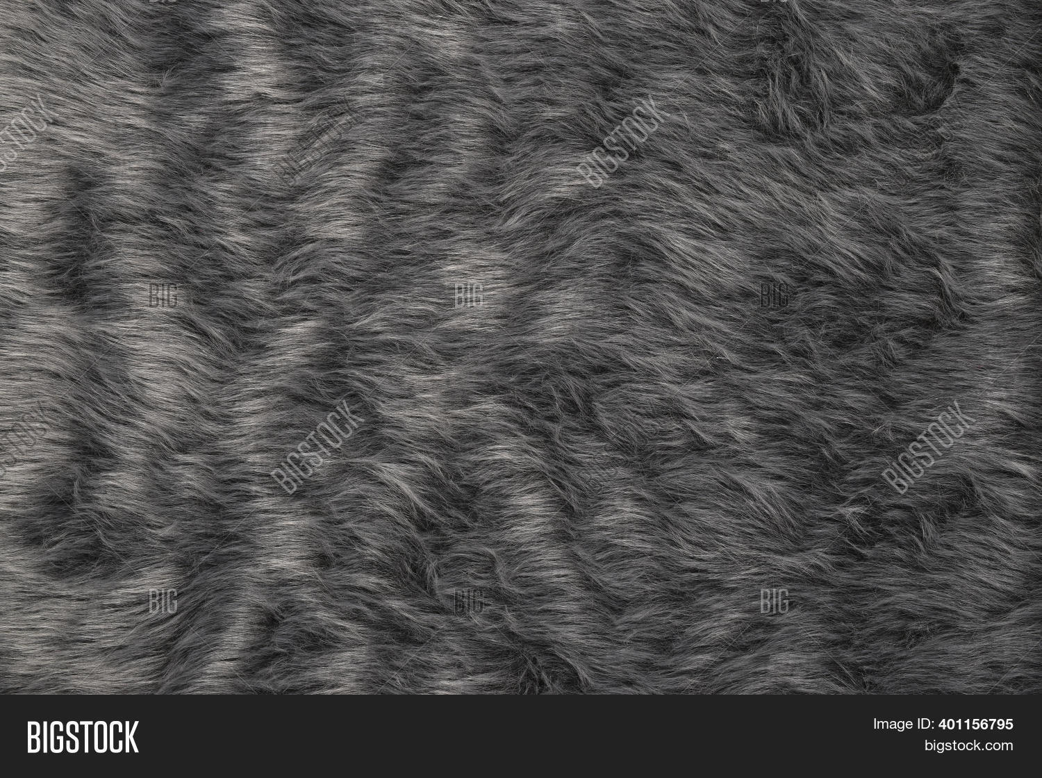 Dog Skin Texture, Gray Image & Photo (Free Trial) | Bigstock