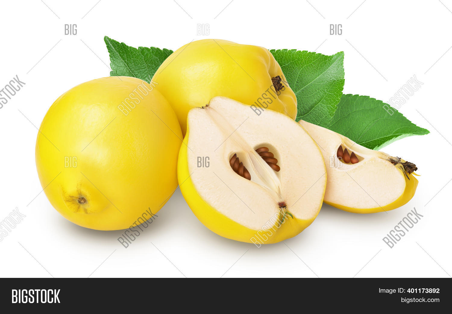 Fresh Quince Half Image & Photo (Free Trial) | Bigstock
