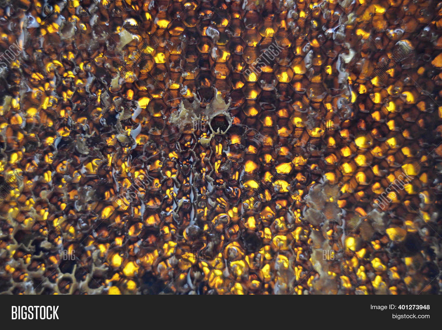 Drop Bee Honey Drip Image & Photo (Free Trial) | Bigstock