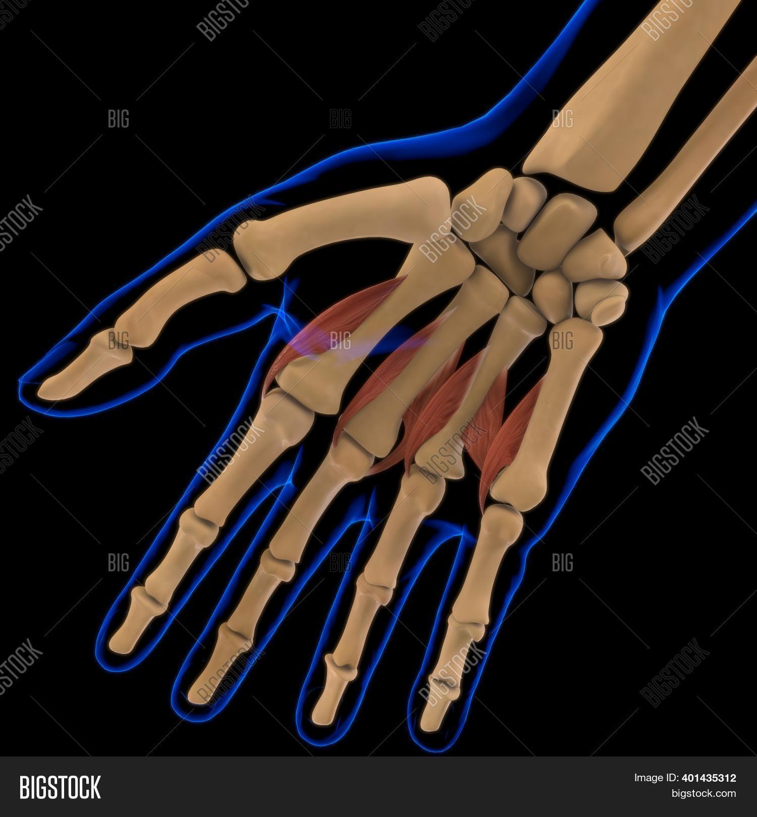 ภาพและภาพถ่าย (ทดลองใช้ฟรี) | Bigstock