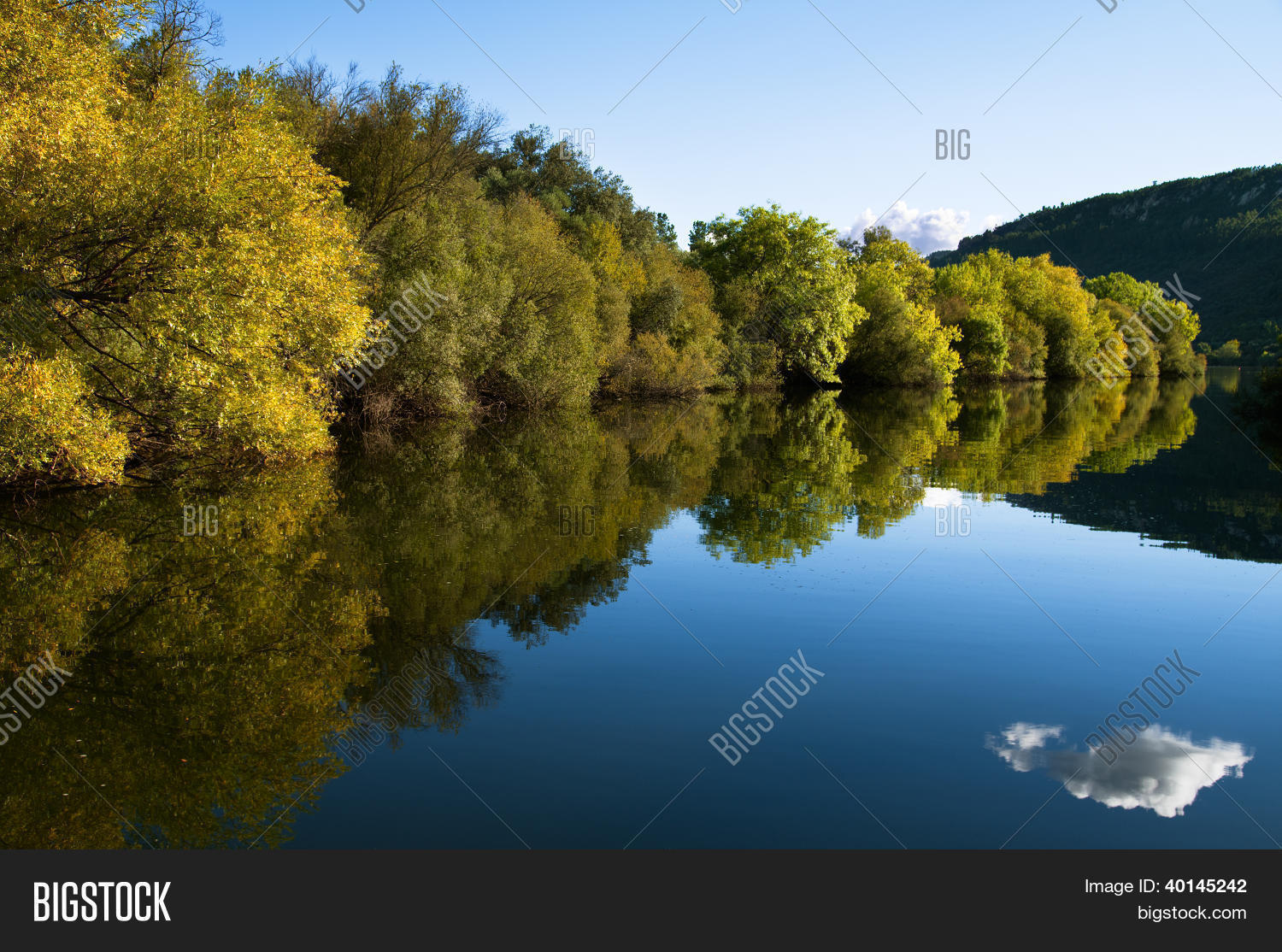 Riverbank Tree Line Image & Photo (Free Trial) | Bigstock