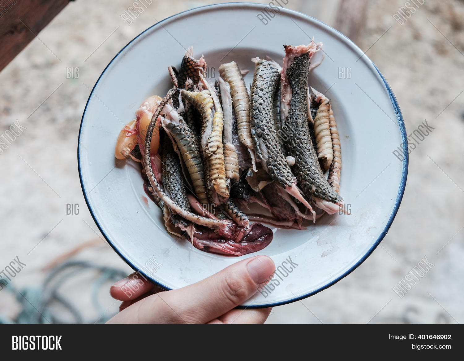 Pieces Fresh Snake Image & Photo (Free Trial) | Bigstock