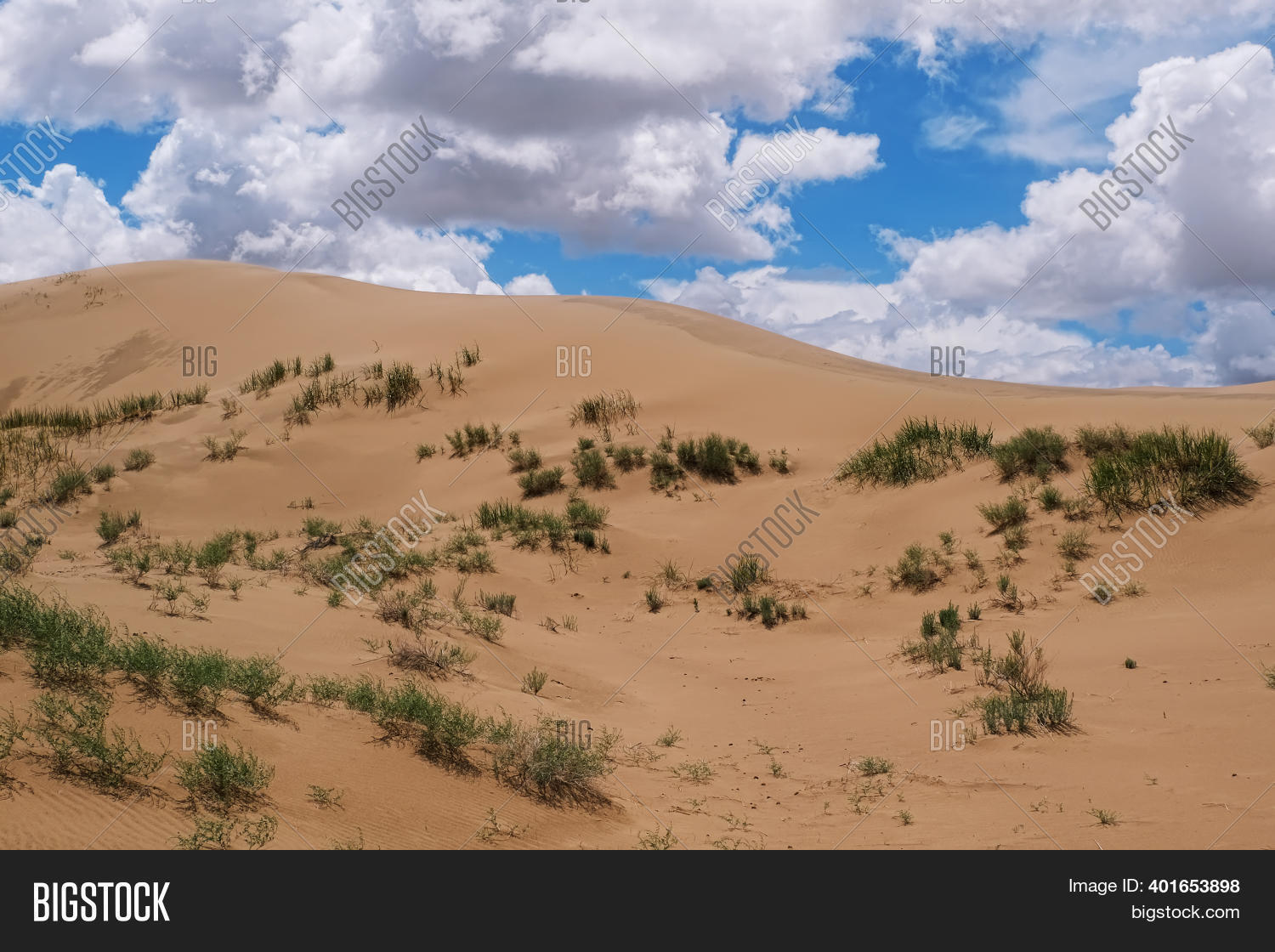 Barkhans Mongolia. Image & Photo (Free Trial) | Bigstock