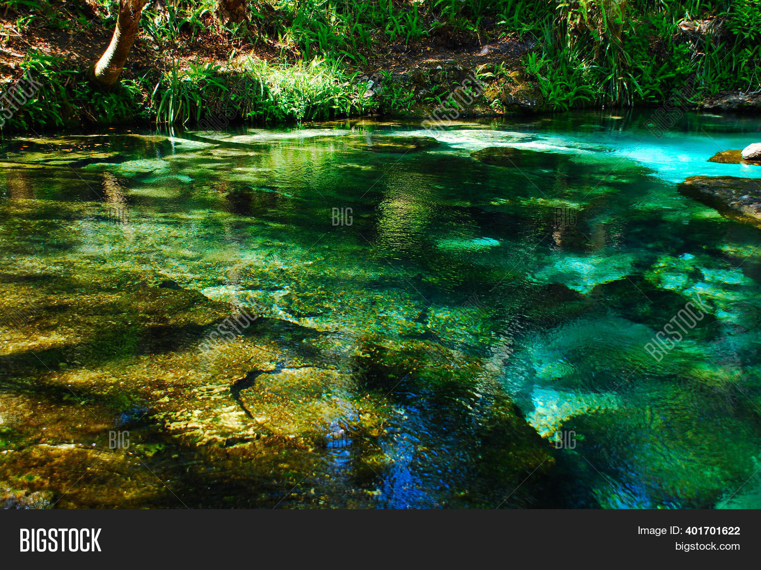 Hot Springs Florida Image & Photo (Free Trial) | Bigstock