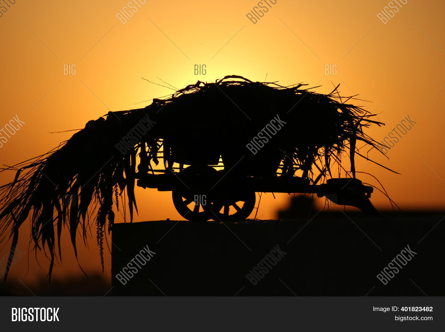 Silhouette Bullock Image & Photo (Free Trial) | Bigstock