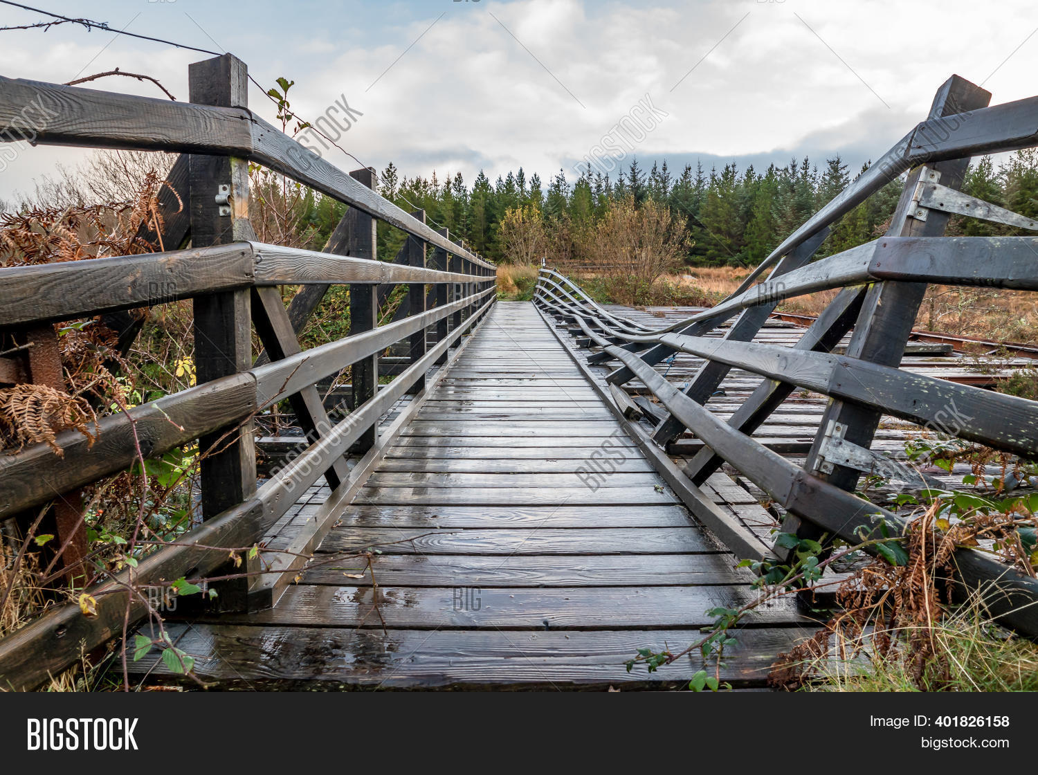 Old, Rotten Wooden Image & Photo (Free Trial) | Bigstock