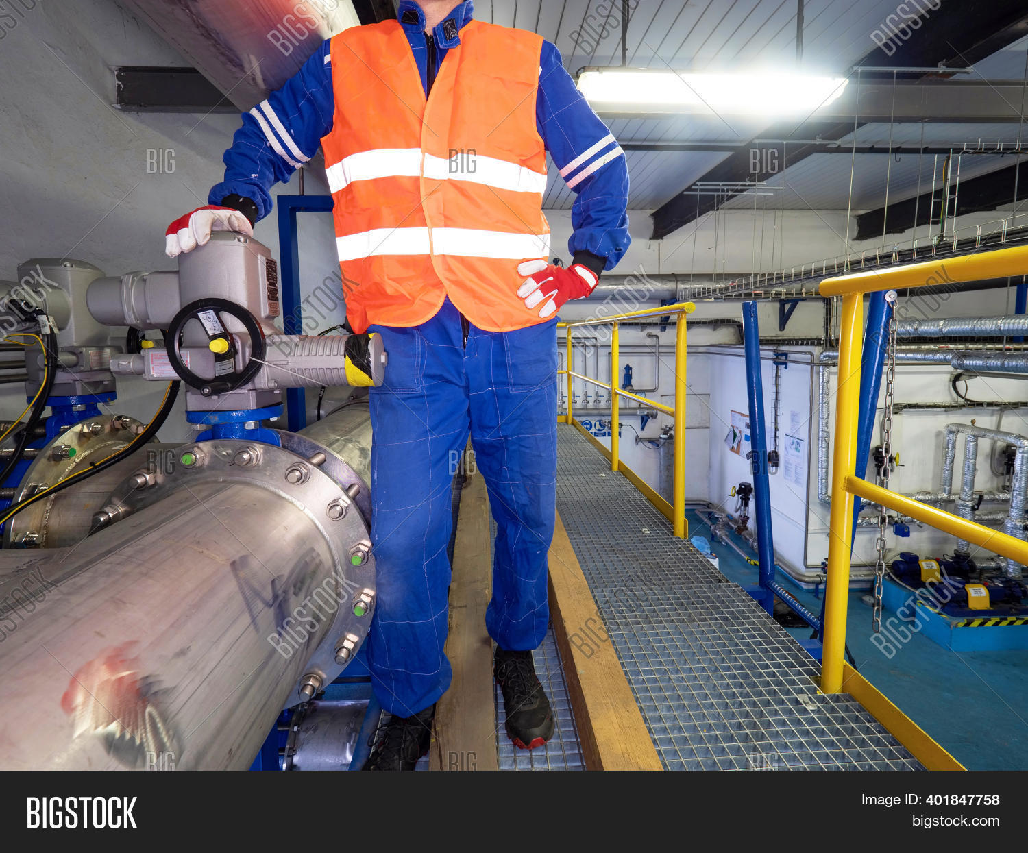 Staff Man Checks Image & Photo (Free Trial) | Bigstock