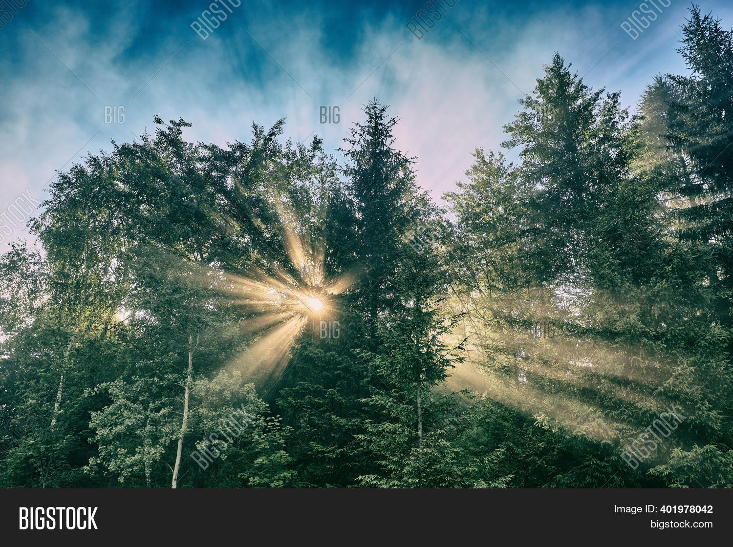 Sunbeams Breaking Image & Photo (Free Trial) | Bigstock