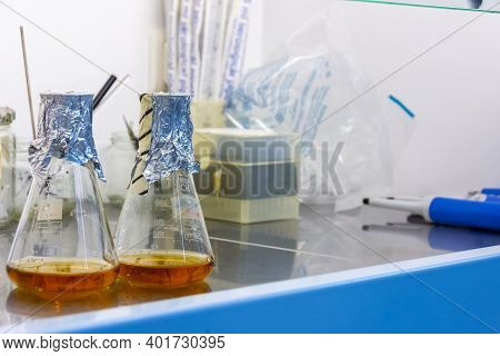 Flasks Liquid Media Image & Photo (Free Trial) | Bigstock