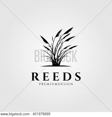 Vintage Reeds Logo Vector & Photo (Free Trial) | Bigstock