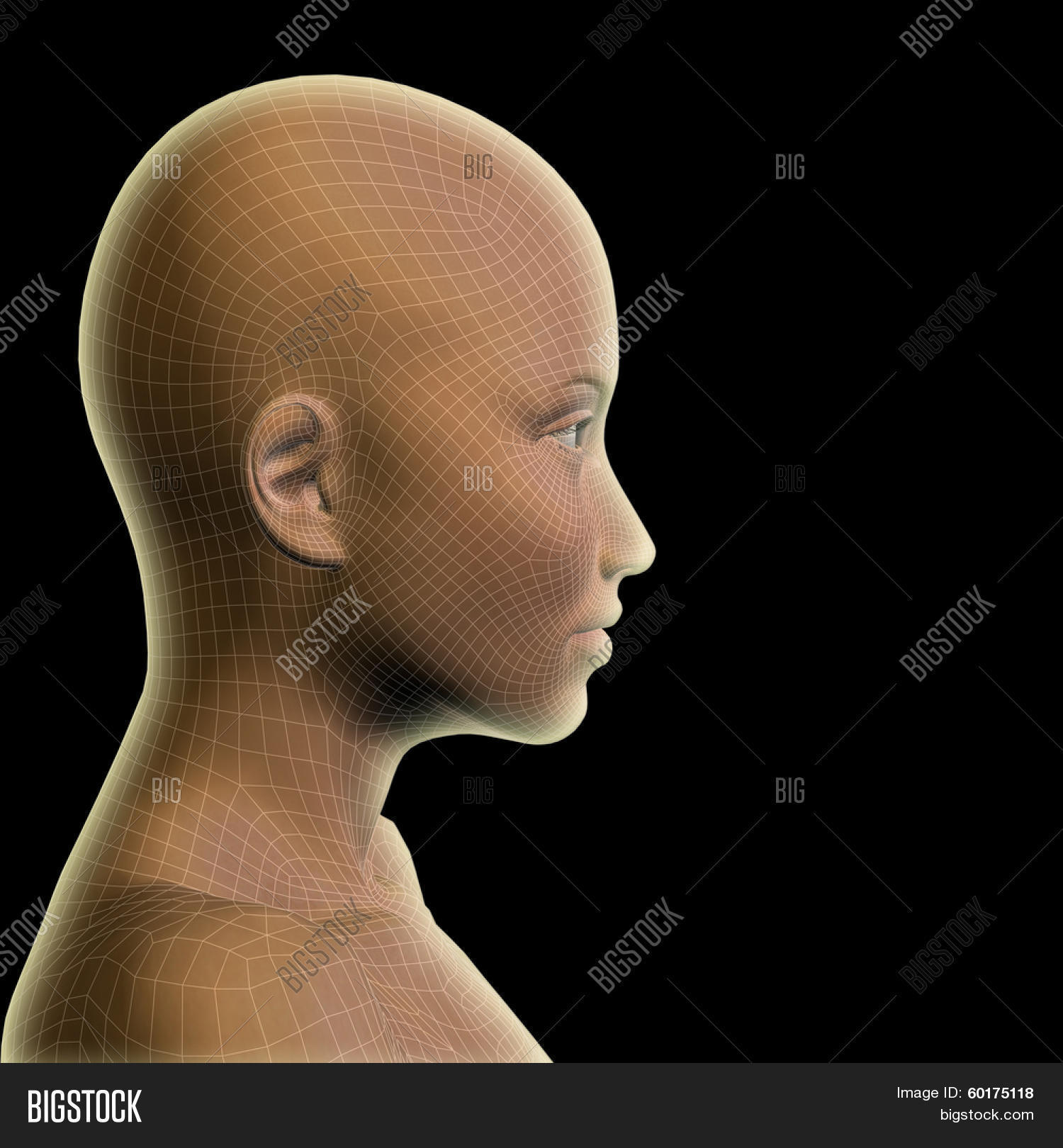 High Resolution Image & Photo (Free Trial) | Bigstock