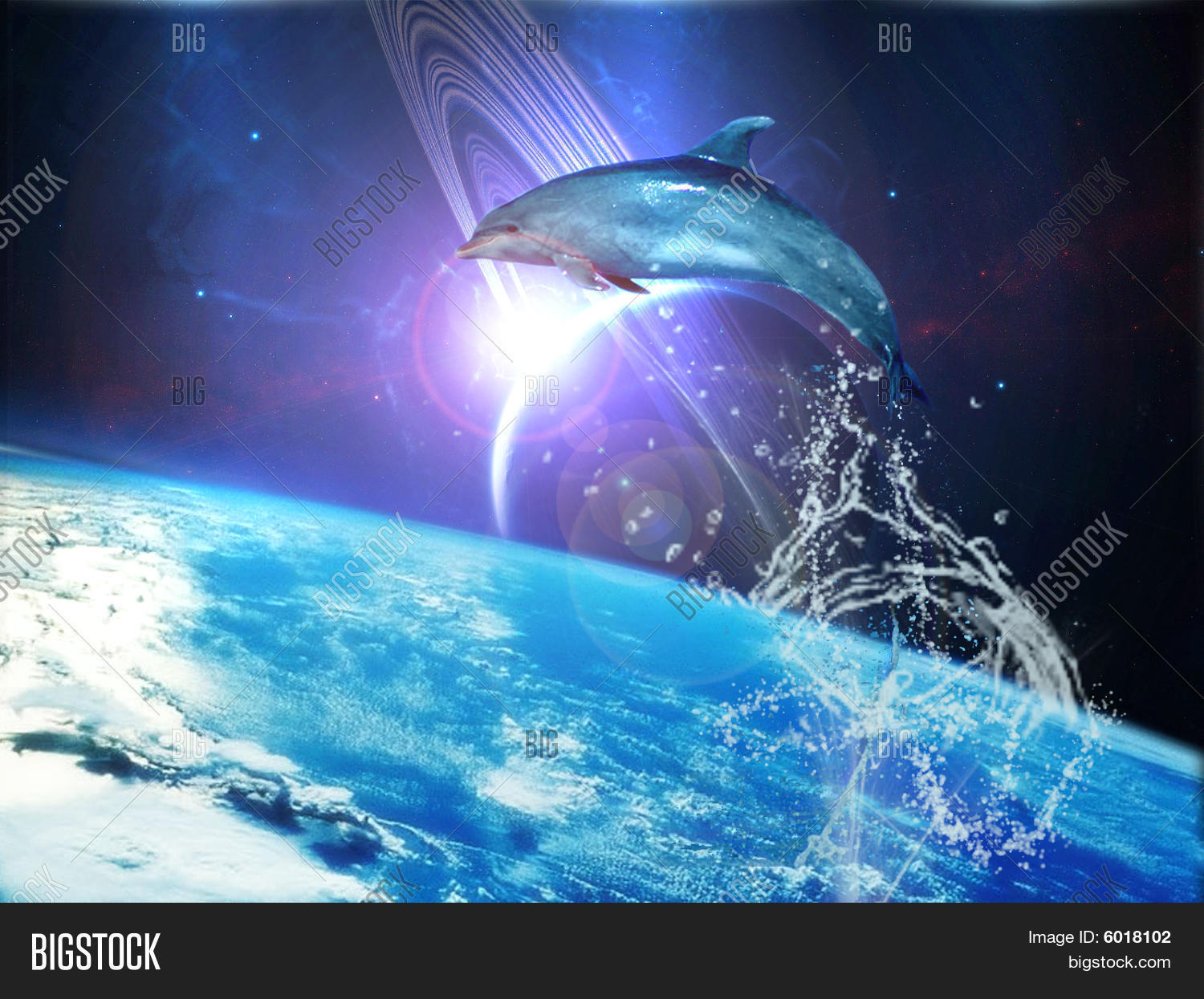 Air, Dolphin, Fish, Image & Photo (Free Trial) | Bigstock