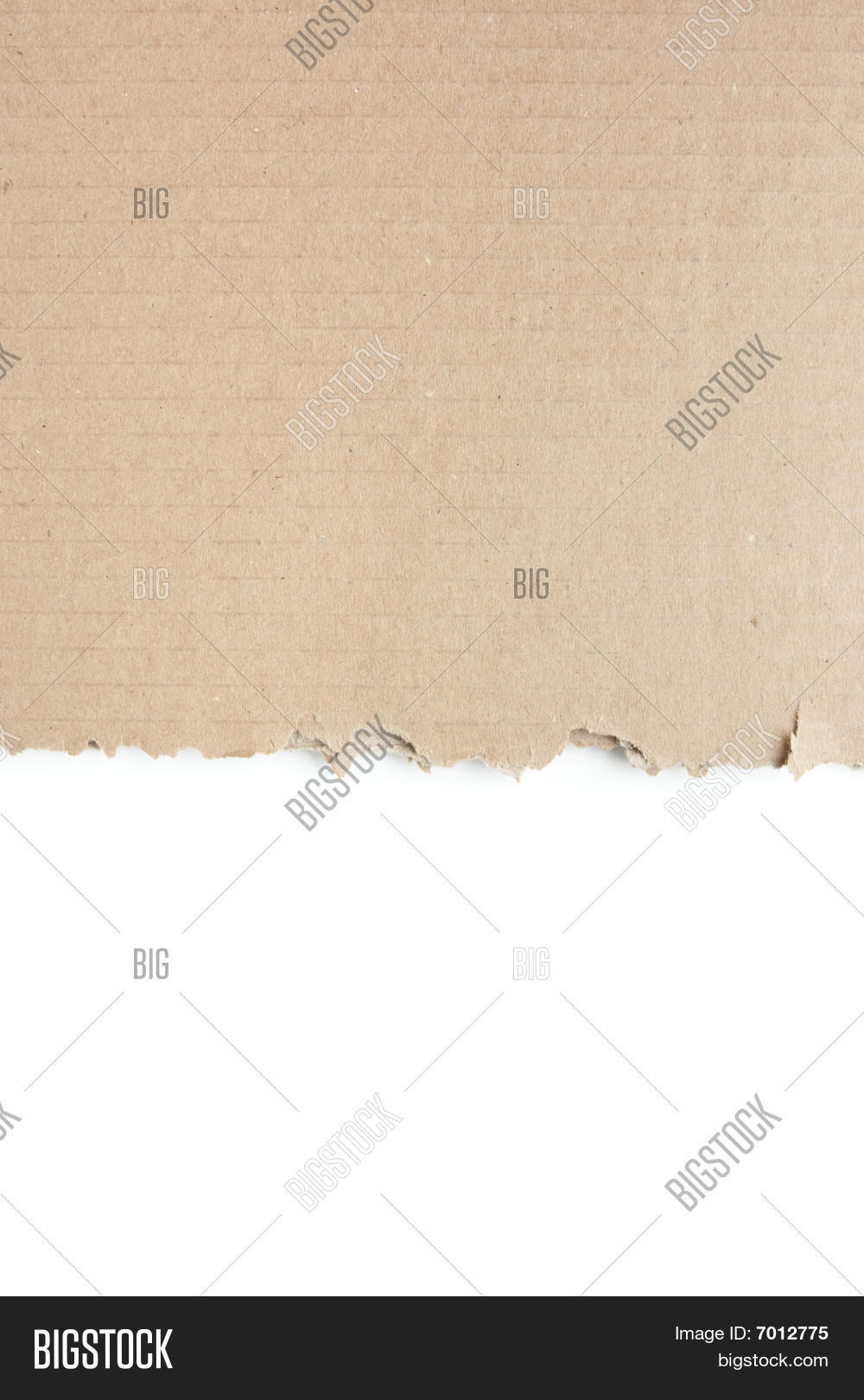 Torn Cardboard Image & Photo (Free Trial) | Bigstock