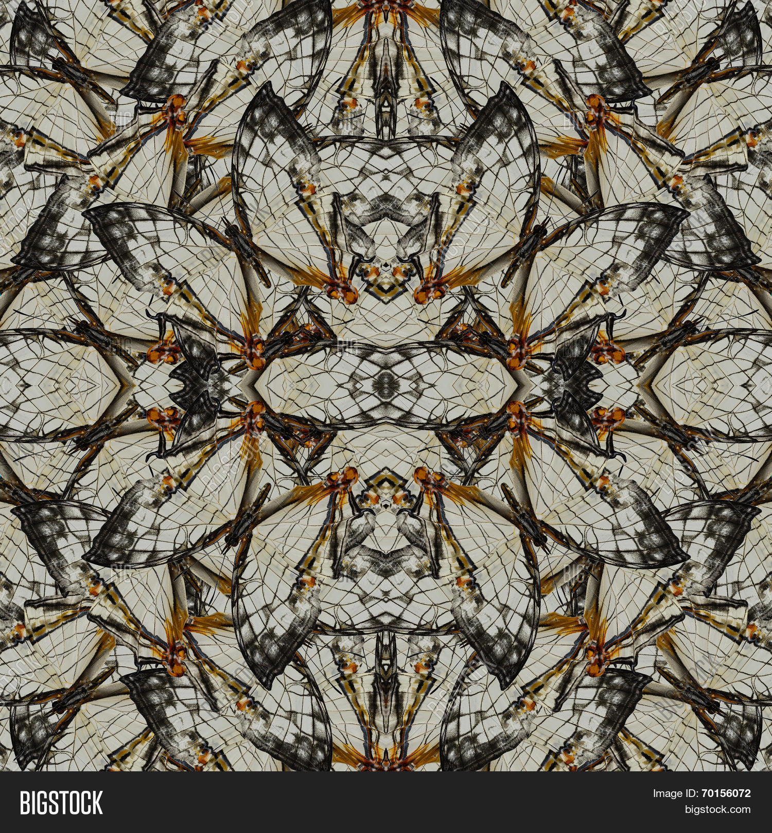 Exotic Seamless Image & Photo (Free Trial) | Bigstock