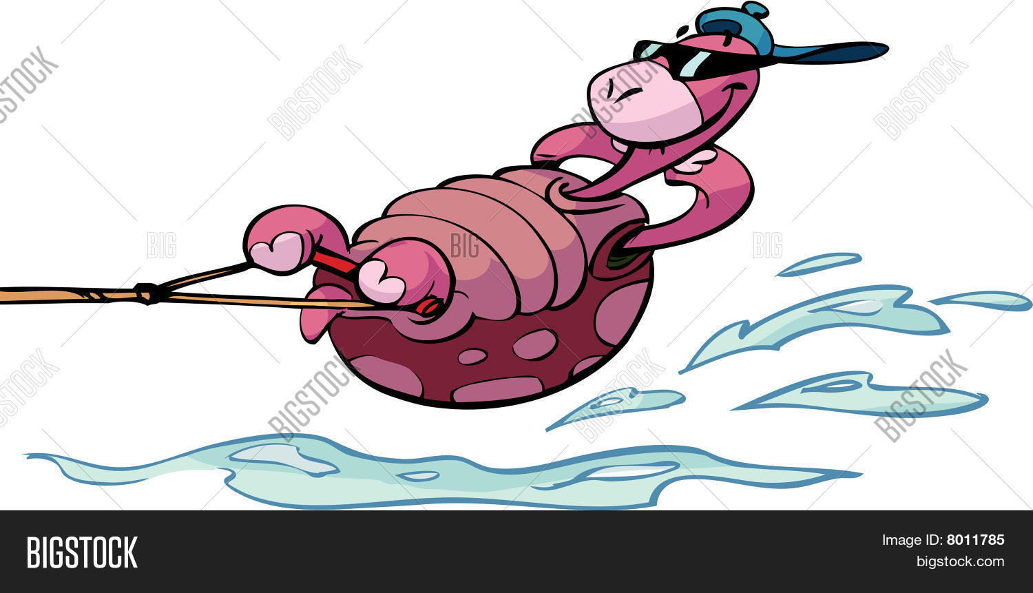 Water-ski Turtle Vector & Photo (Free Trial) | Bigstock