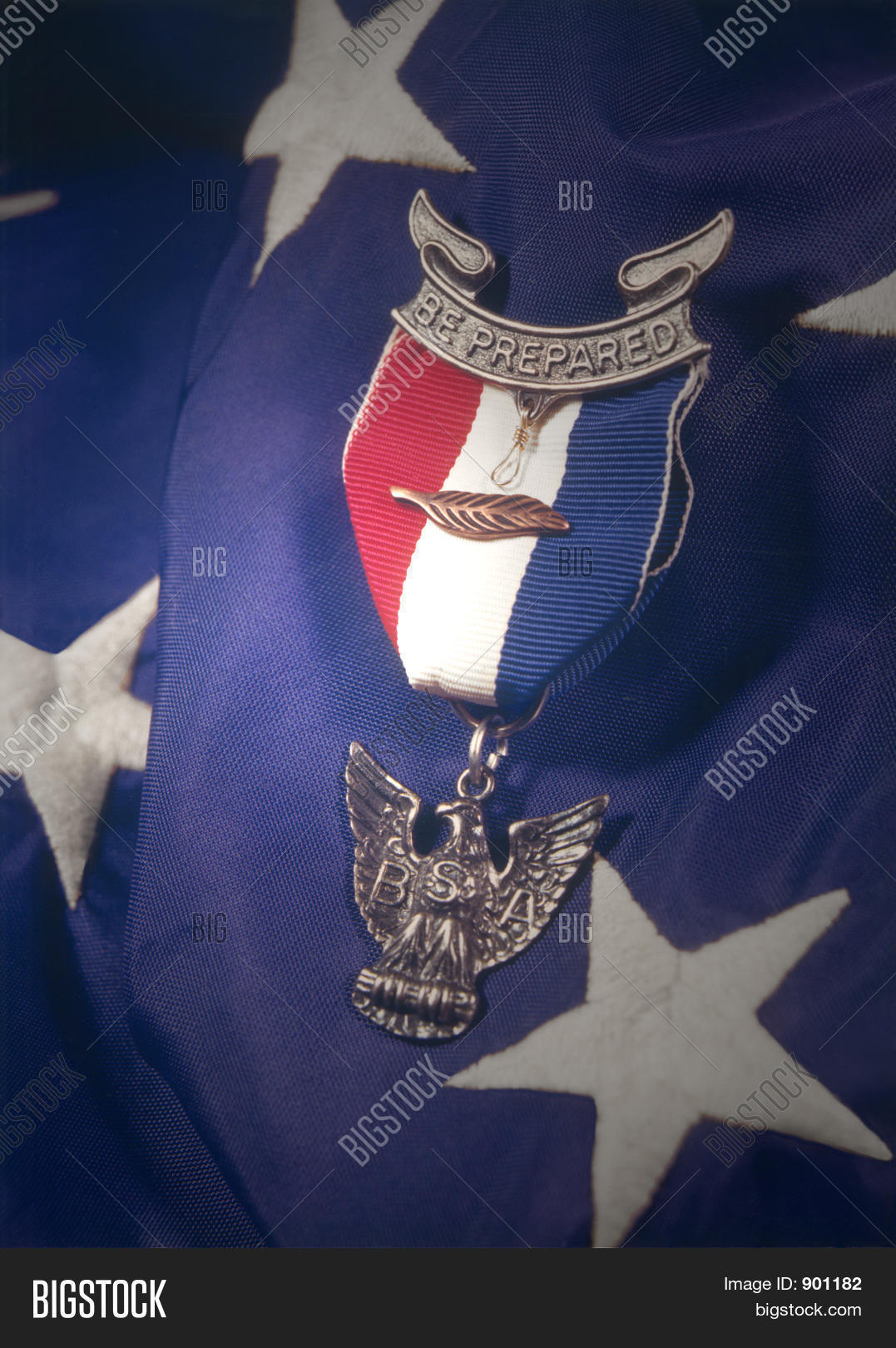Eagle Scout Image & Photo (Free Trial) | Bigstock